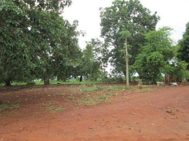 Terreno à venda em Betel