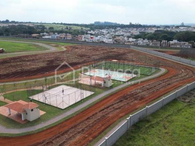 terreno à venda em Betel