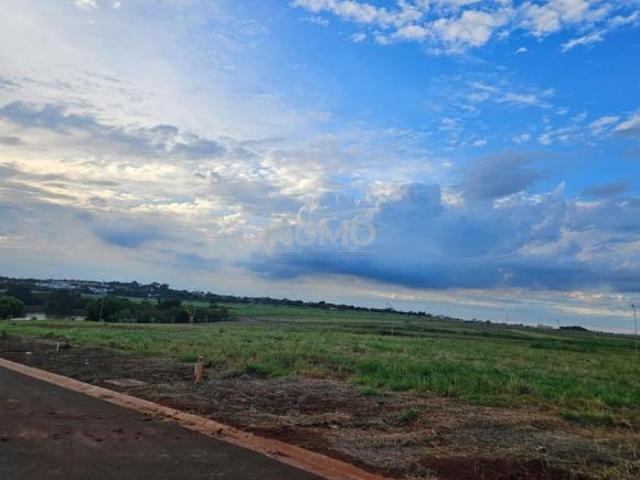 terreno à venda em Betel