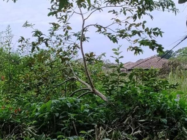 Terreno à venda em Bertioga, Morada da Praia, 1008m²