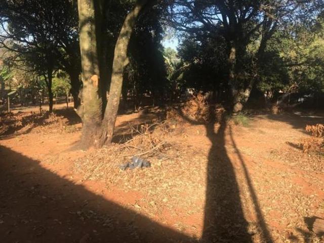 Terreno à venda em Braúnas
