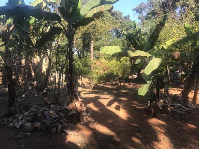 Terreno à venda em Braúnas