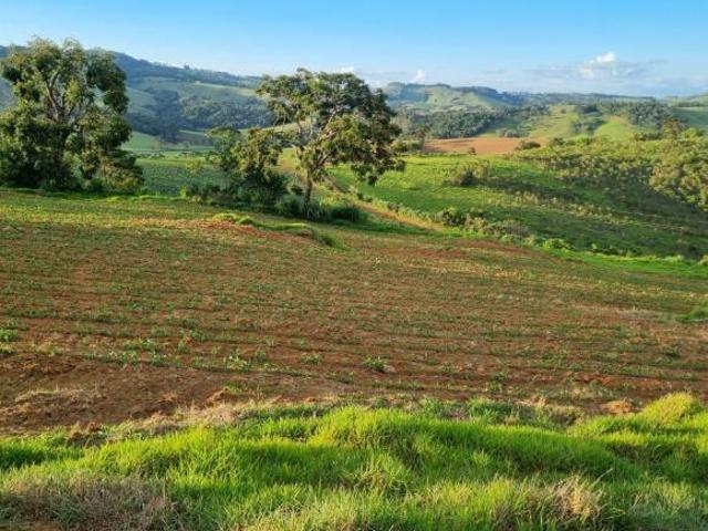 Terreno à Venda em Bueno Brandão – MG