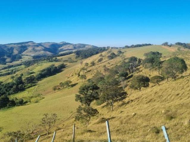 Terreno à Venda em Bueno Brandão – MG | 20.000 m² com Nascente e Vista Espetacular