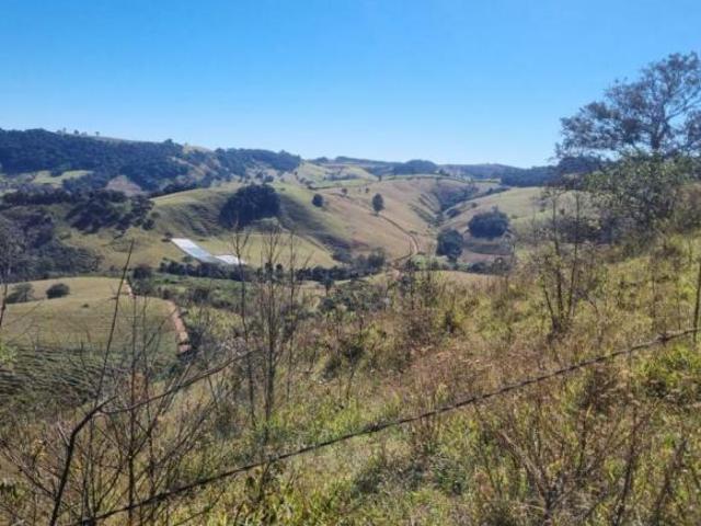 Terreno à Venda em Bueno Brandão – MG | 20.000 m² com Nascente, Riacho e Vista Incomparável