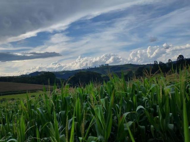Terreno à Venda em Bueno Brandão/MG com Escritura