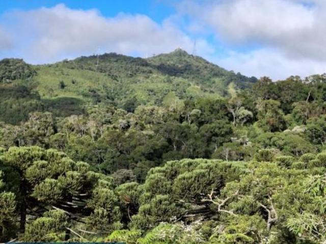 Terreno à Venda em Gonçalves MG com 26.143m2