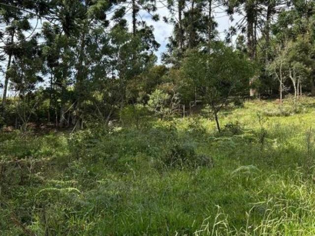Terreno À venda em Gonçalves MG