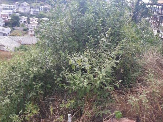 Terreno a venda em Garibaldi, ótima localização