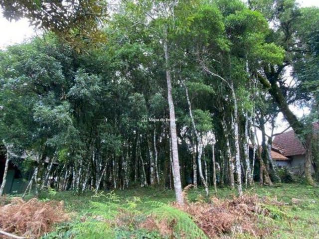 Imoveis em Gramado
