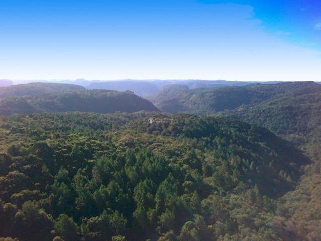 Terreno à venda em Gramado