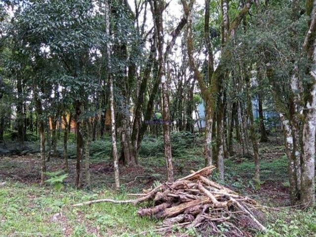 Imoveis em Gramado