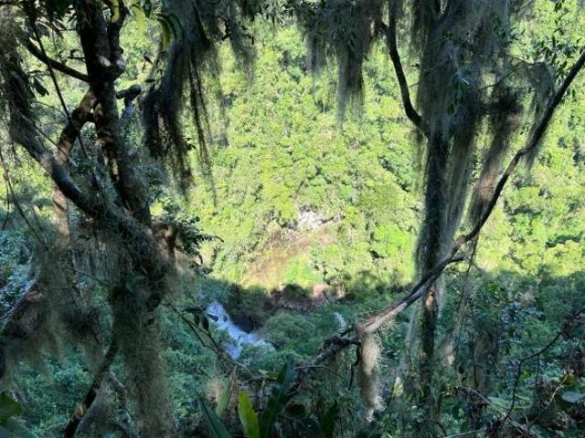 Terreno à venda em Gramado, Carazal, 20000m²