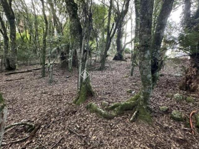 Terreno à venda em Gramado Condomínio Lagos de Gramado