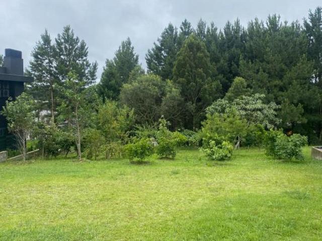 Terreno à venda em Gramado, Mato Queimado, 666.9m²