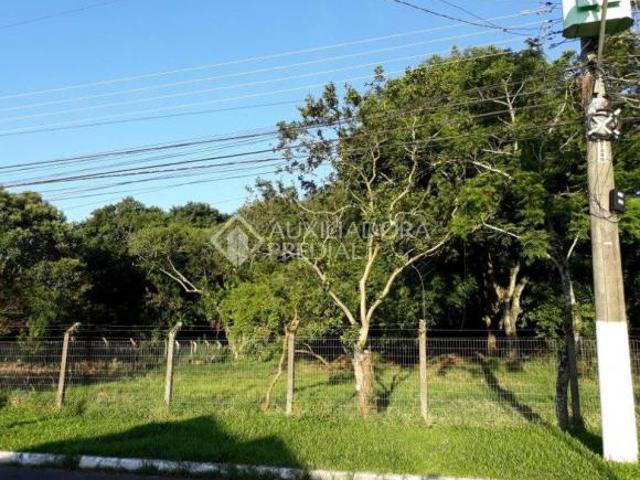 Terreno à venda em Gravataí Passos dos Ferreiros