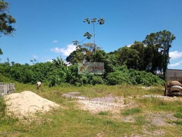 Terreno à venda em Guaratuba PR, bairro Figueira: 560m² de área, lote no meio de quadra