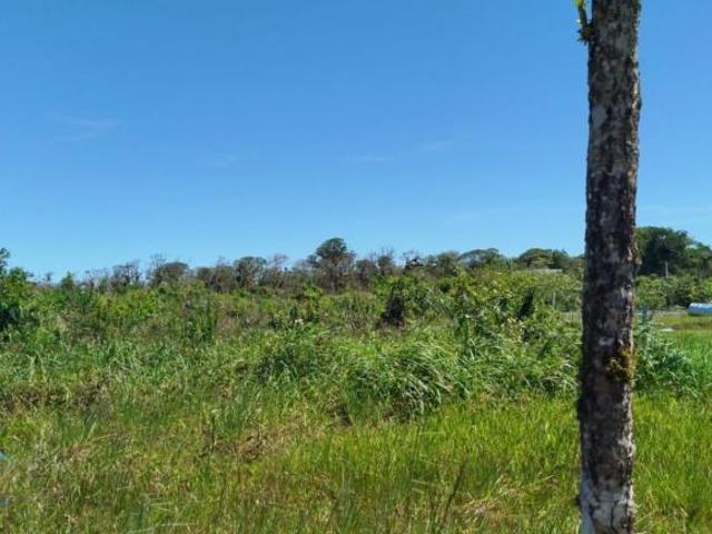 Terreno à venda em Guaratuba PR, bairro Nereidas, 495,46 m² de área. Aproveite essa oportunidade!