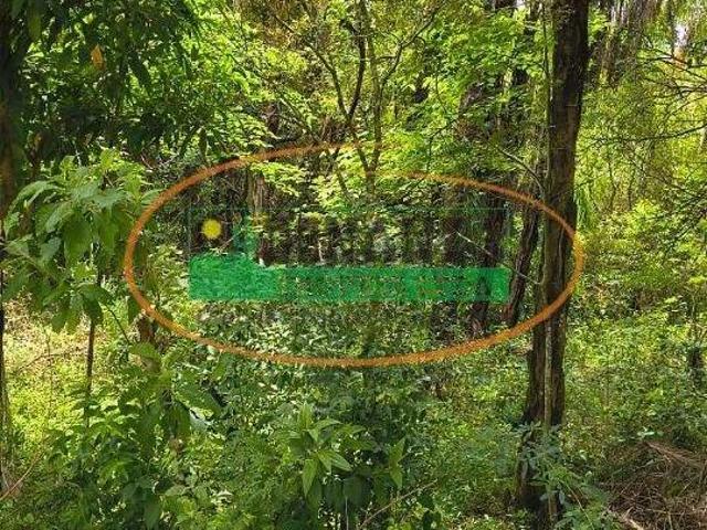 Terreno à venda em Guarda Mor