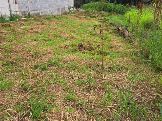 Terreno à venda em Guarulhos