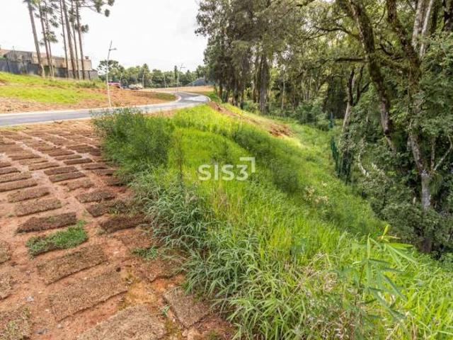 Terreno à venda em Declive com 309 m² no Condomíni