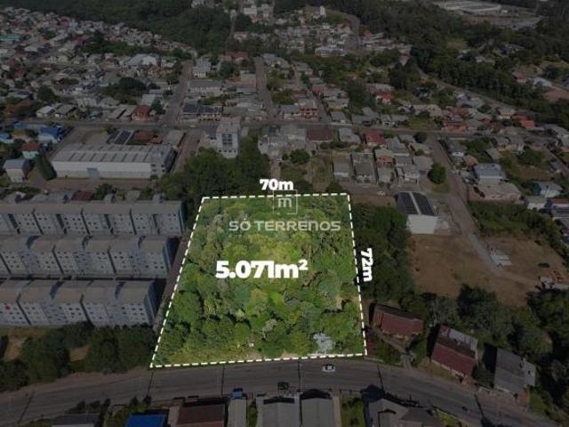 Terreno à venda em Desvio Rizzo