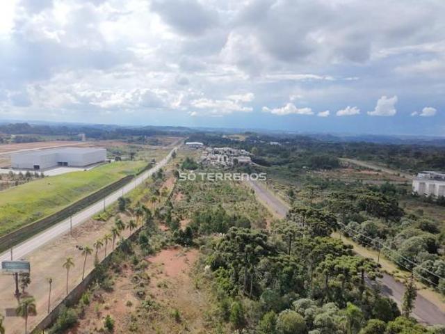 Terreno à venda em Desvio Rizzo