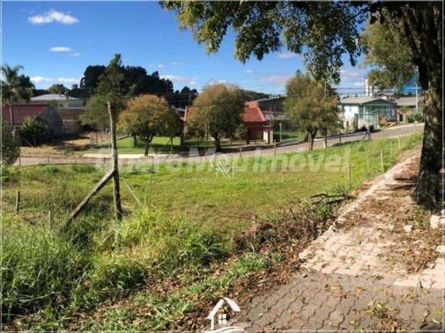 Terreno à venda em Desvio Rizzo