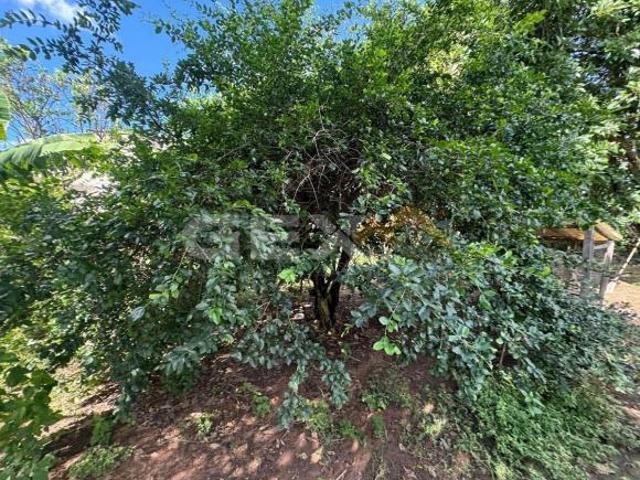 Terreno à Venda em Ermida com 360m²