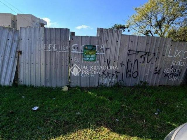 TERRENO A VENDA EM ESTEIO