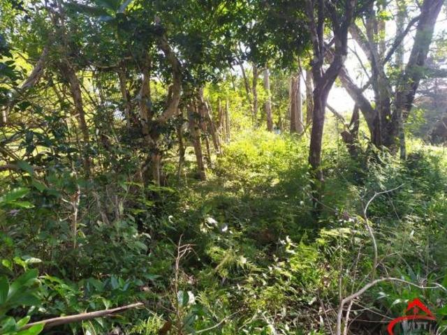Terreno à venda em Extrema