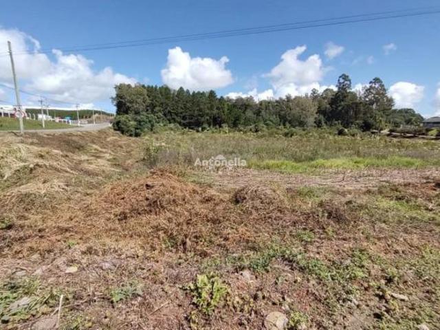 Terreno à venda em Forqueta