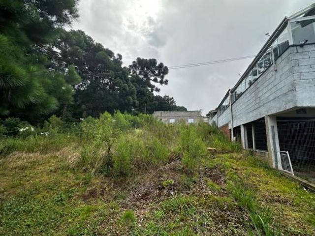 Terreno à venda em Farroupilha, Monte Verde