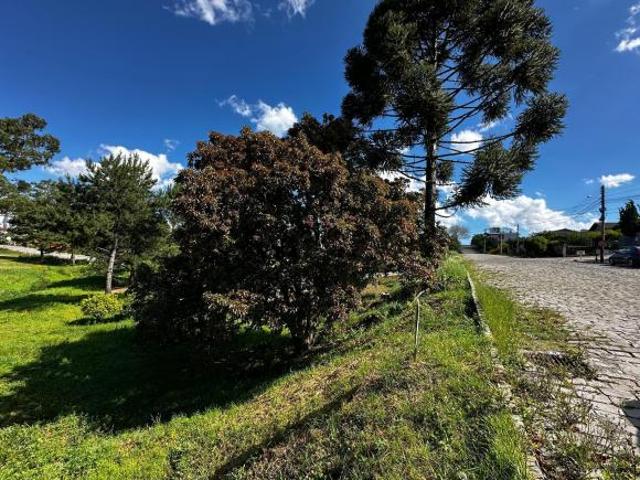Terreno à venda em Farroupilha, São Luiz