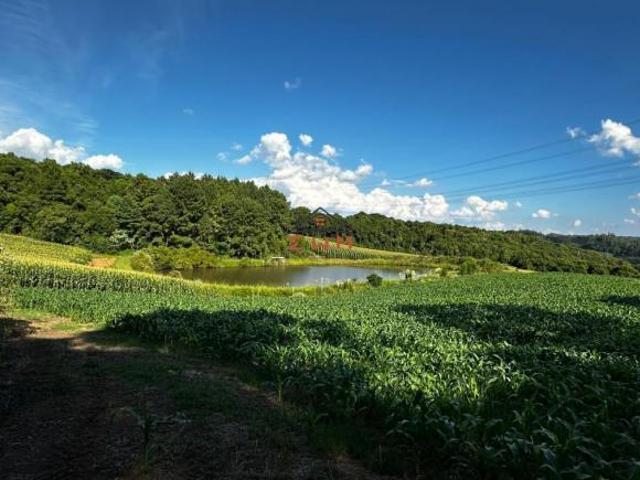 Terreno à venda em Farroupilha, Santa Rita: confira essa oportunida