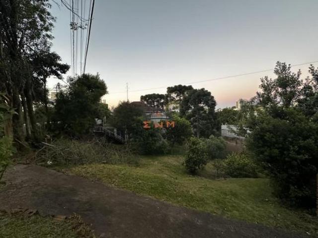 Terreno à venda em Farroupilha, Vicentina FRENTE ASFALTADA NA JULIO