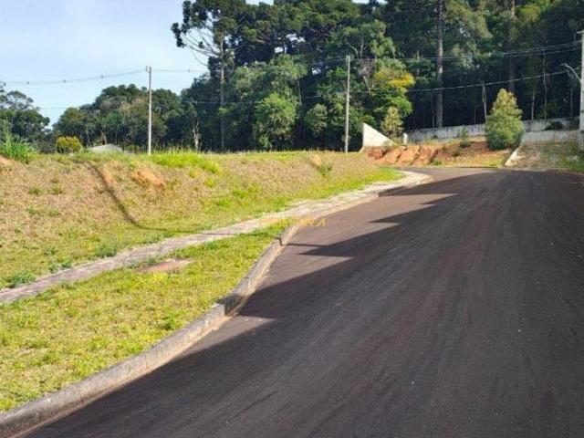 Terreno à venda em Ferraria