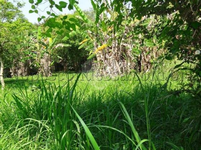 Terreno à venda em Horto florestal SP