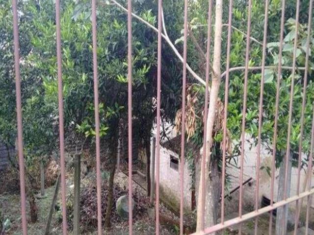 Terreno à venda em Humaitá