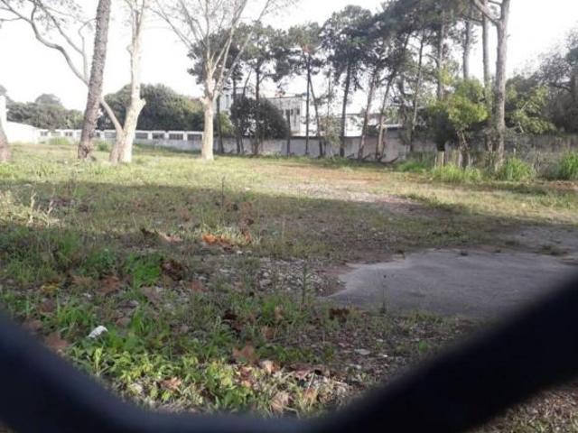 Terreno à venda em Independência