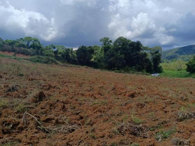 Terreno à Venda em Ibiúna – Excelente Oportunidade