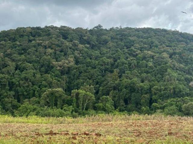 Terreno à Venda em Ibiúna – Ideal para Chácara ou Moradia