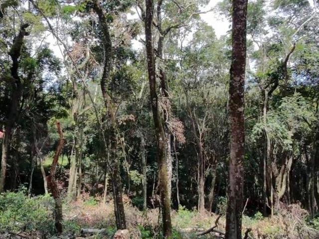 Terreno à Venda em Ibiúna, SP – Condomínio Fechado com Lazer Completo!