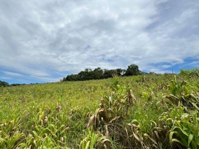 Terreno à venda em Ibiúna – 1000m² no BAIRRO do Colégio