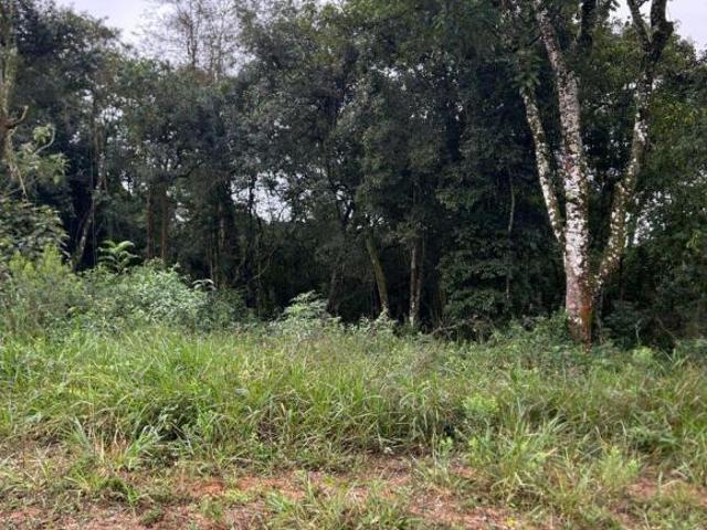 Terreno à venda em Ibiúna – 1000m² BAIRRO campo verde
