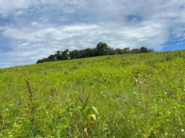 Terreno à venda em Ibiúna – 1000m² BAIRRO do Colégio