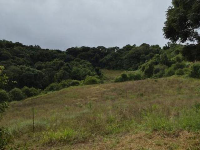 Terreno à venda em Ibiúna – 1000m²