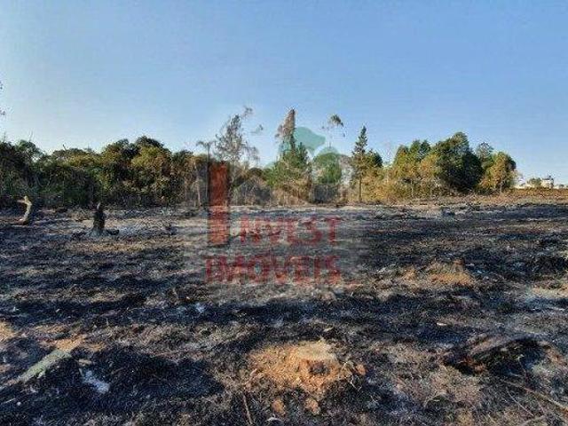 Terreno à venda em Ibiúna