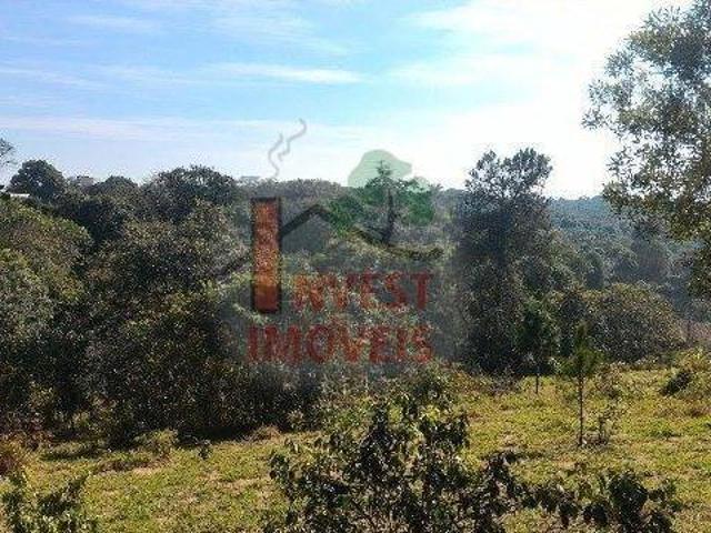 Terreno à venda em Ibiúna