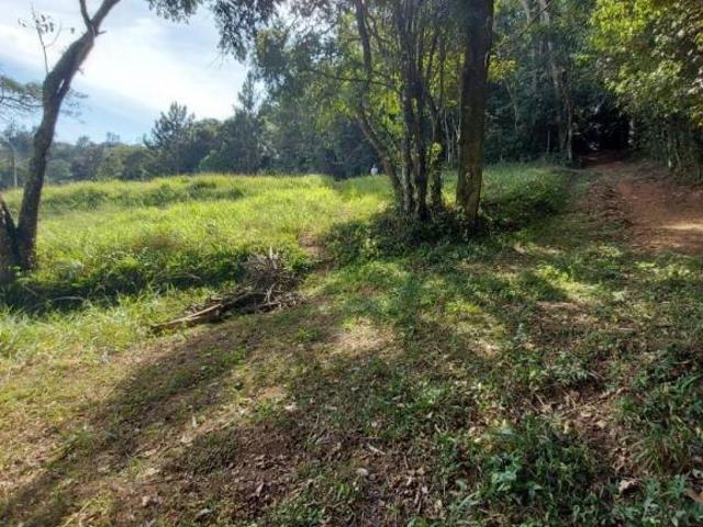 Terreno à venda em Ibiúna